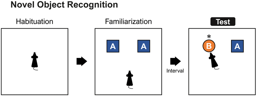 学习笔记 ｜ 小鼠经典行为学实验分享 - 知乎