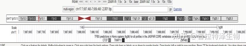 转录因子预测及优化策略-NCBI、JASPAR、UCSC数据库联用 - 知乎