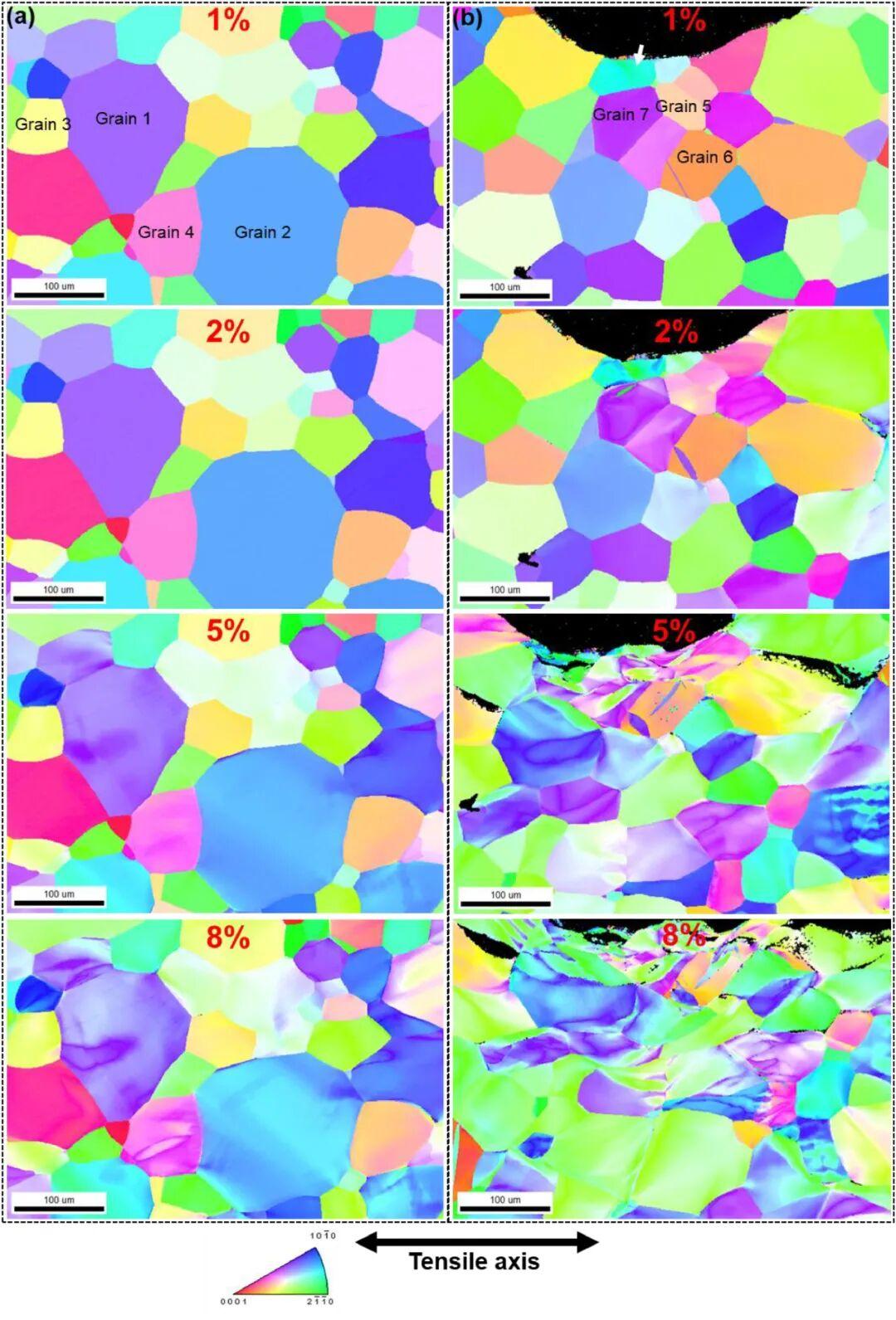 金属材料顶刊文章赏析 | IJP | 原位EBSD+CPFEM：揭示CP-Ti缺口变形8%应变下的各向异性机制！ - 知乎