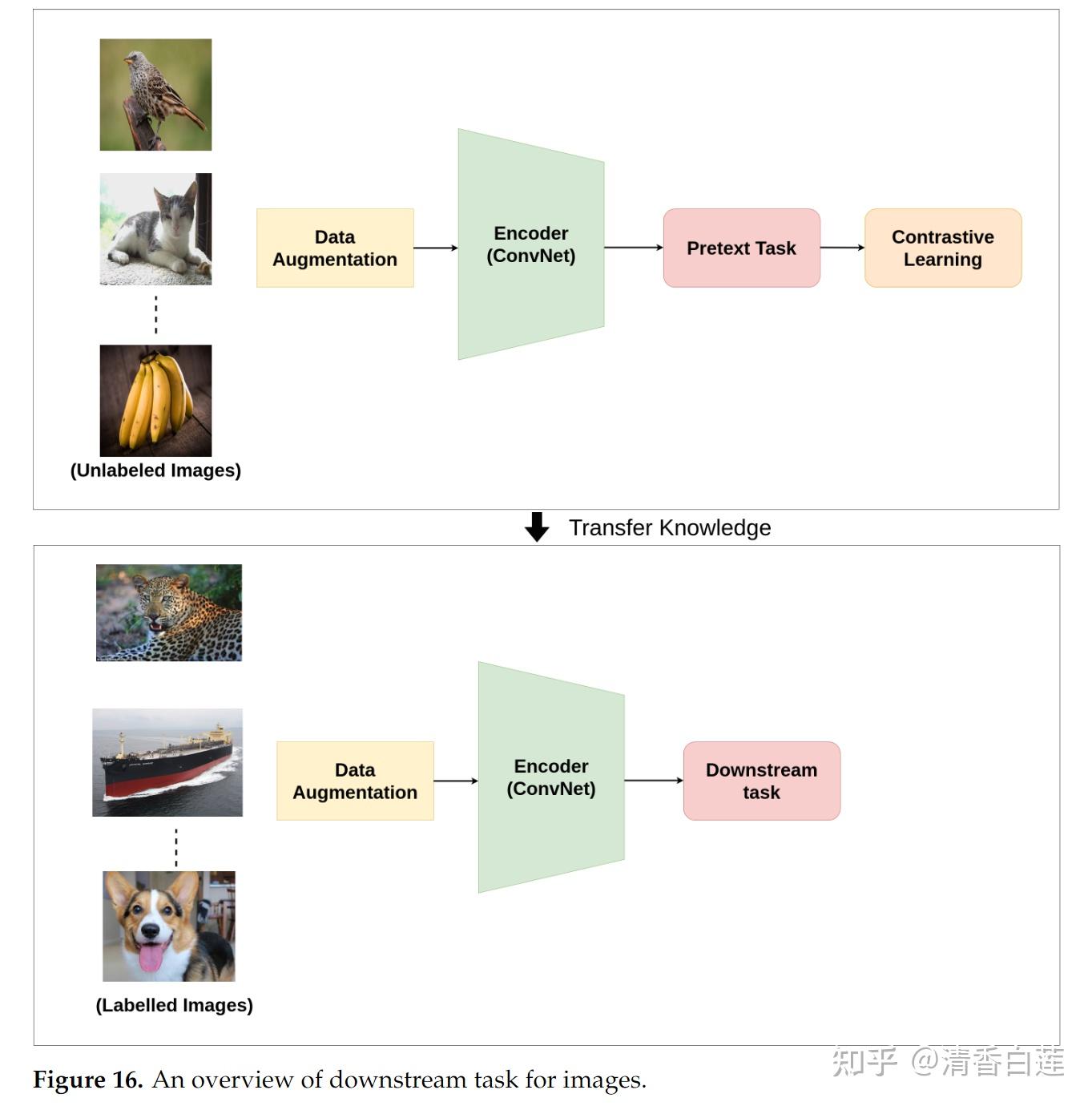 Contrastive Learning in NLP - 知乎