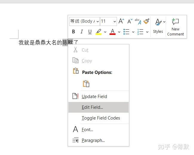 Office Word 变量的使用和探索 - 知乎