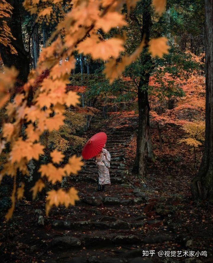 审美加餐|今天来认识摄影师Koichi JAPAN - 知乎
