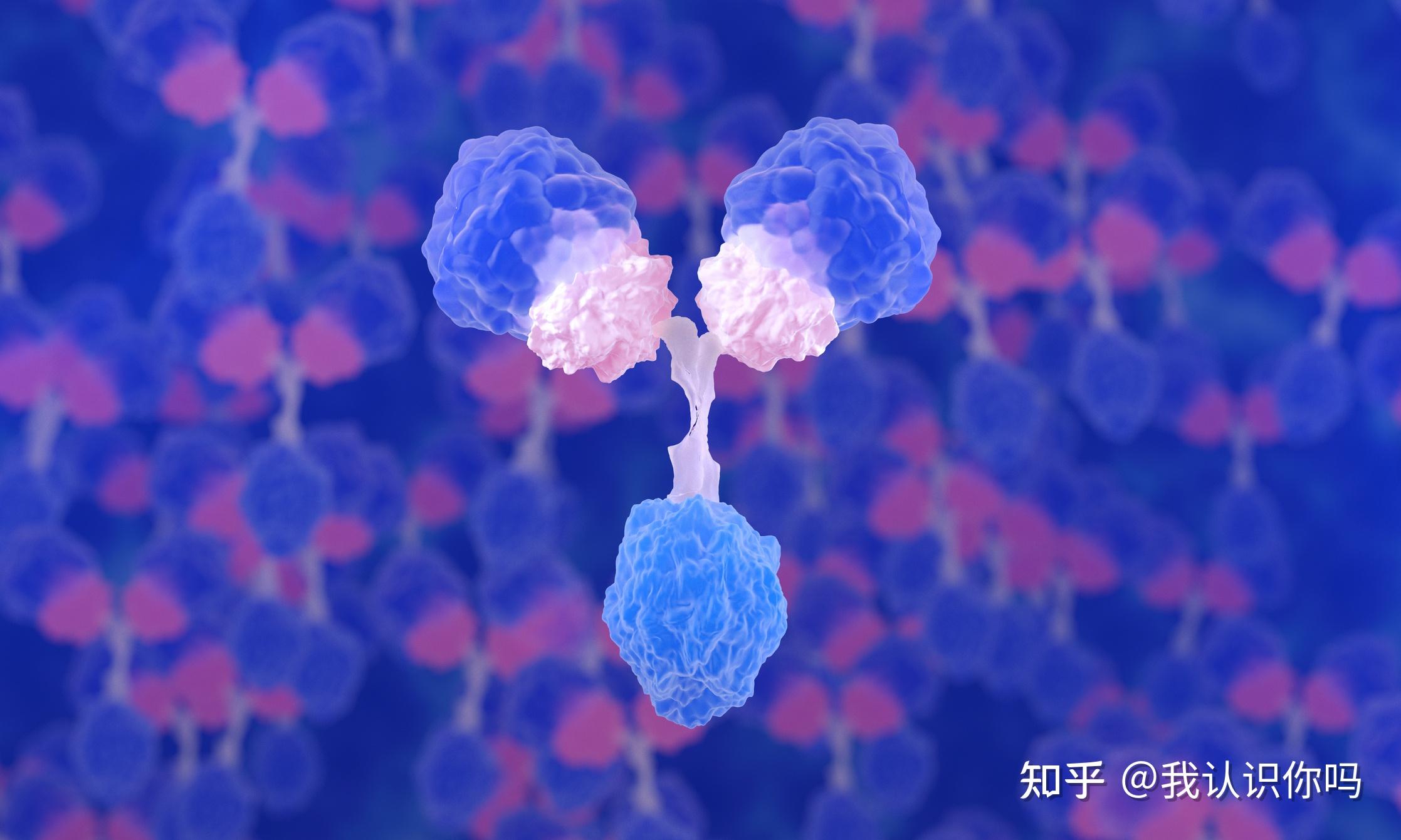 多发性骨髓瘤新希望！JNJ-5322研究突破传统认知，疗效显著且安全性可控 - 知乎