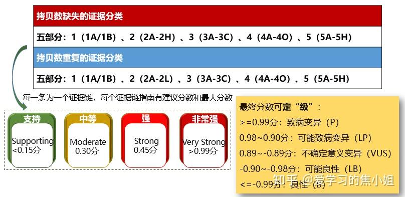CNV变异评级的ACMG+ClinGen指南解读 - 知乎