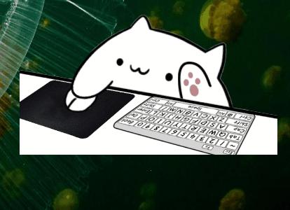 Bongo Cat Mver —一款实时展示键位鼠标操作的可爱猫咪 - 知乎