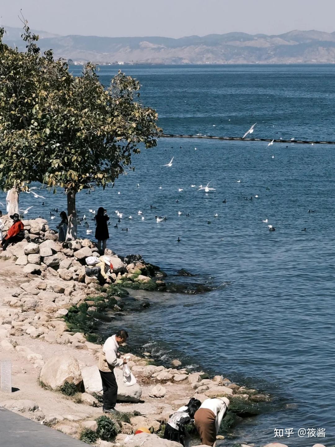 松下S5M2X微单相机，为创作自由量身定做的战神！ - 知乎