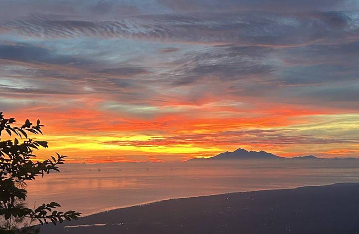 godzilla.dev — AI x Quant Trader Series — Day 2 - 知乎