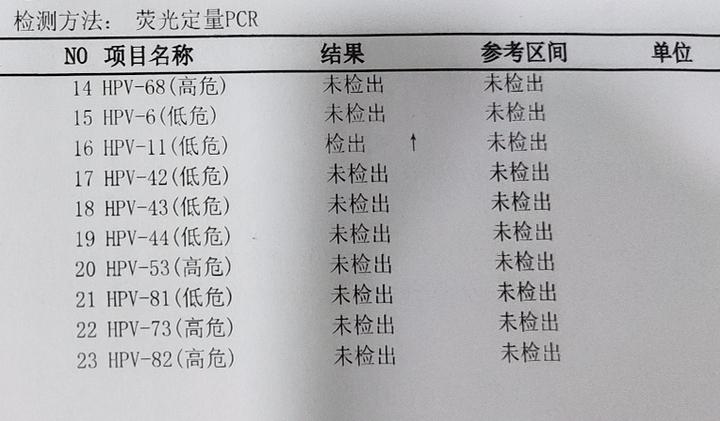 hpv6和11是什么意思 - 知乎