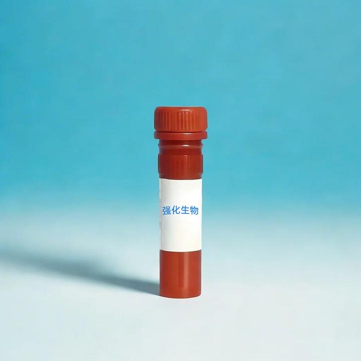 FM 4-64，神经末梢荧光探针的染色方法 - 知乎