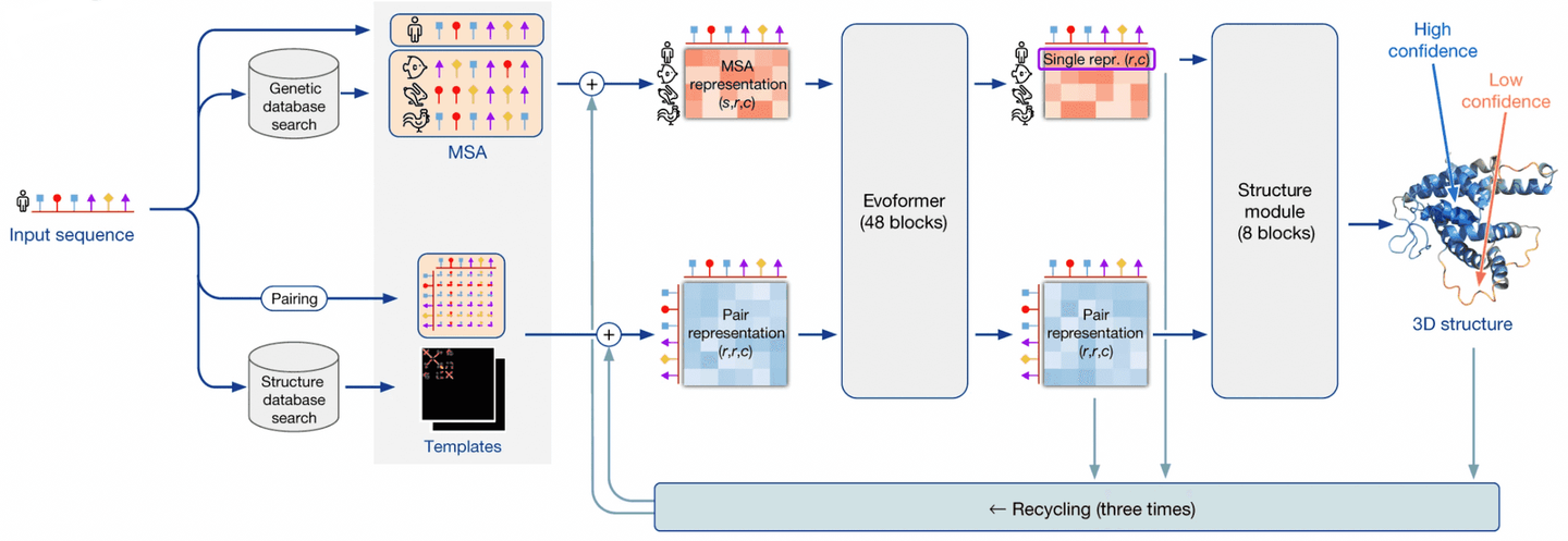 理解AlphaFold2 - 知乎