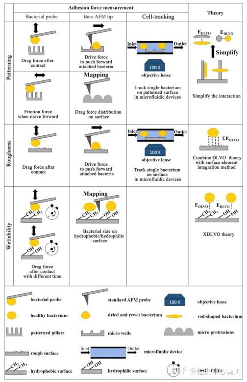 AFM原理、操作以及应用 - 知乎