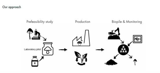 策略回应：伫立于垃圾堆上贫民窟的希望 | Needle竞赛策略解读 - 知乎