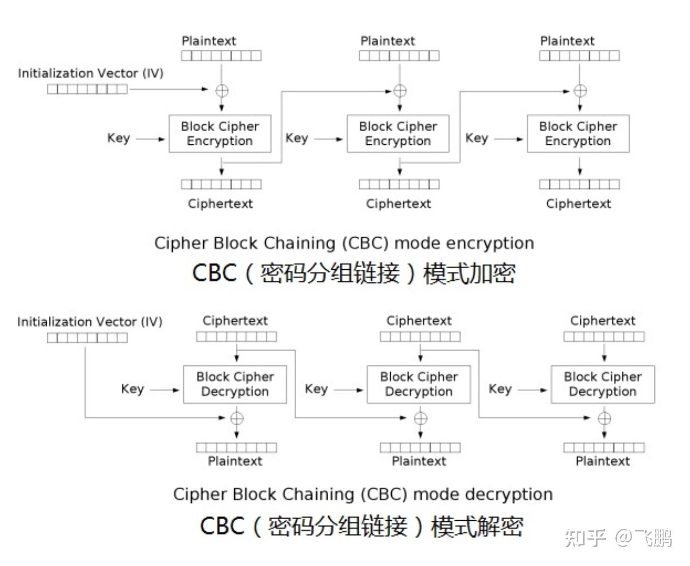 Crypto++ 入门 AES - 知乎