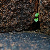 一文搞懂linux thermal - 知乎