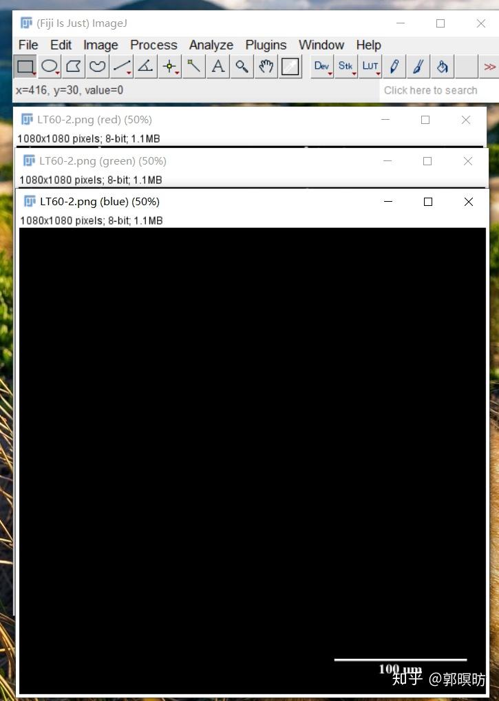 ImageJ使用心得之Particle Analysis （一） - 知乎