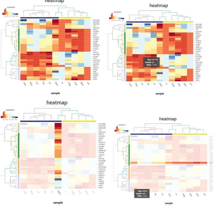 R语言热图绘制入门:从heatmap()到ComplexHeatmap - 知乎