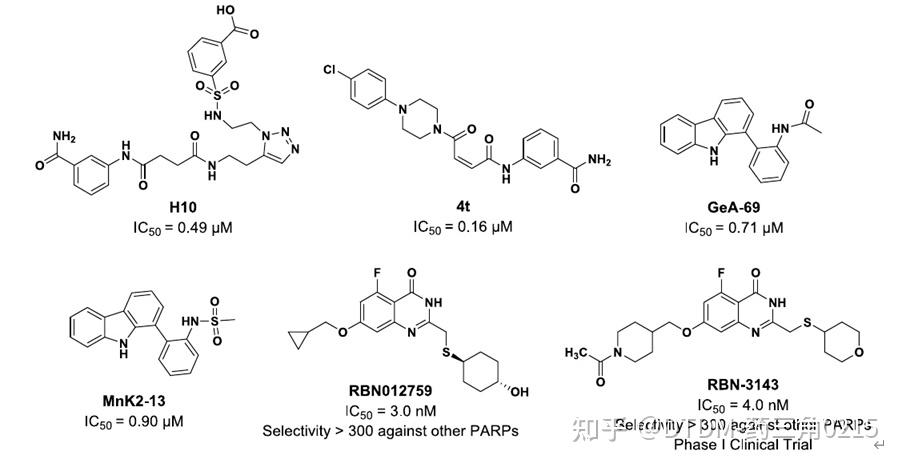 用于治疗特应性皮炎的强效且高选择性 PARP14 抑制剂的发现与优化 - 知乎