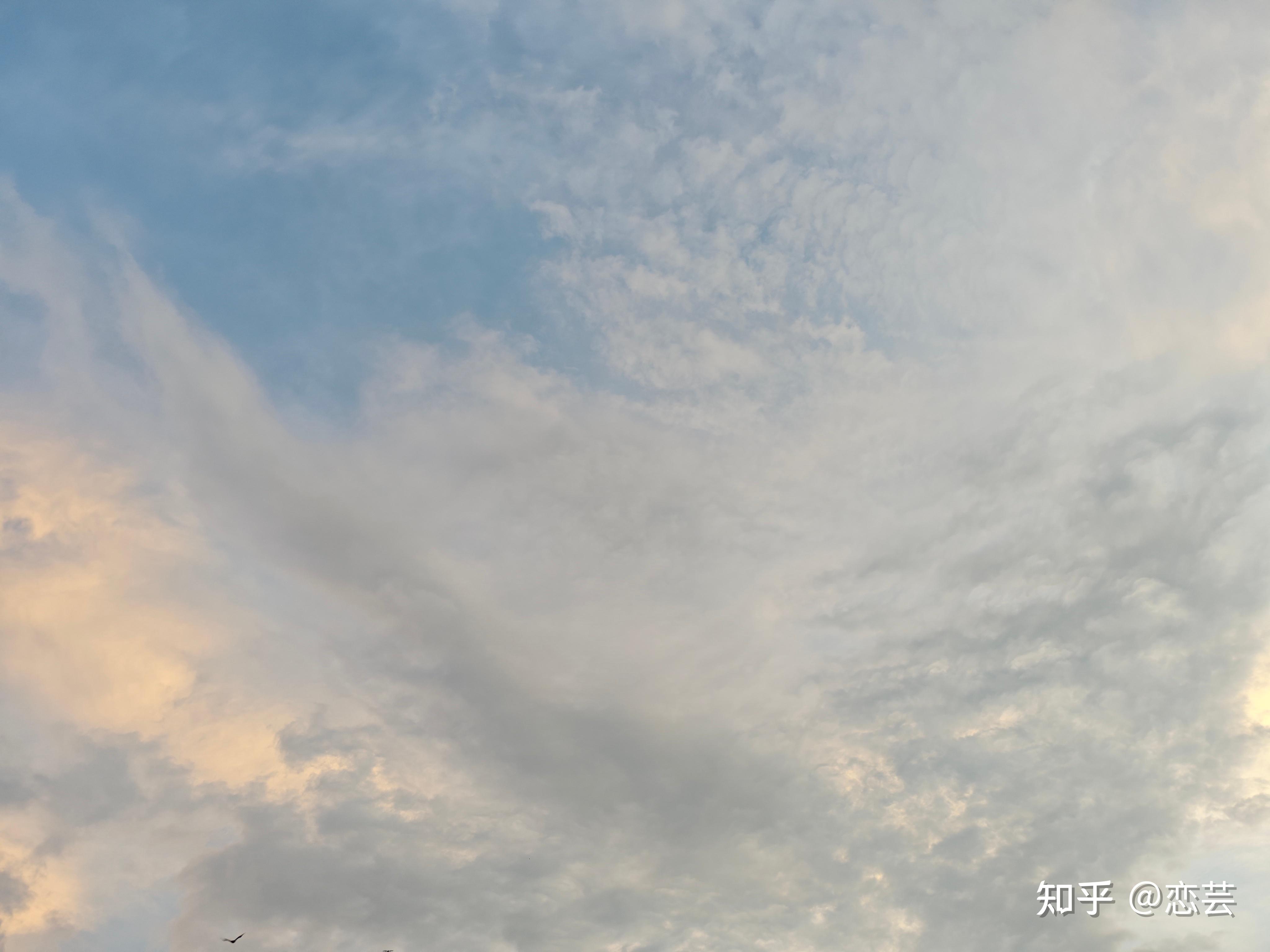 用后端语言构建前后端一体服务时 ，nicegui 和 fastui 哪个更好用？