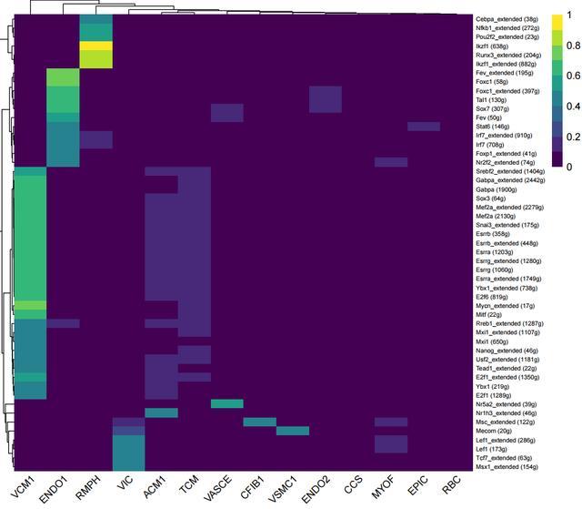 干货分享！一文带你走进单细胞分析高级玩法：Regulon调控子分析 - 知乎