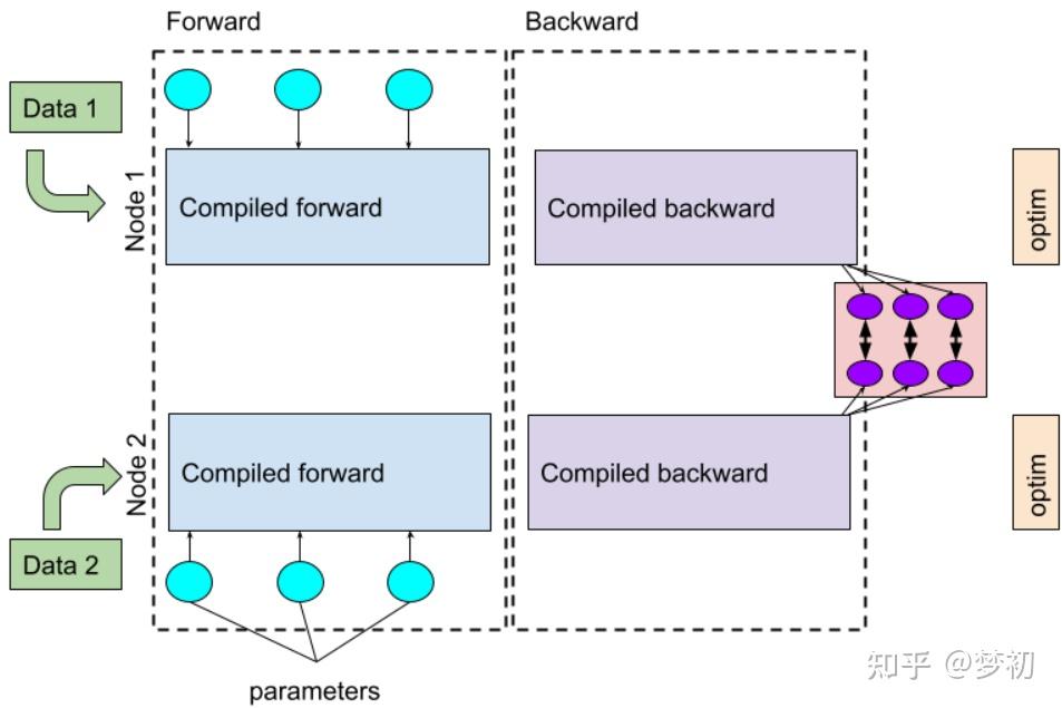 Pytorch2.0中的DDP Optimizer - 知乎