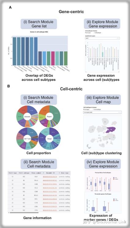 数据库介绍 | STAB2：一个人类和小鼠大脑的空间时间细胞图谱的更新版 - 知乎