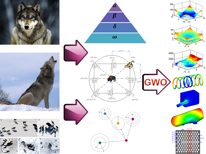 【5.2 灰狼（GWO）】Matlab智能优化算法 - 知乎