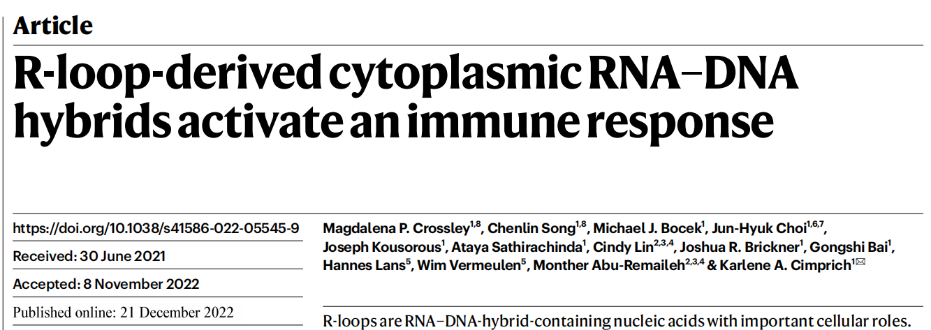新品上市|| R-Loop检测技术强势来袭！！！ - 知乎