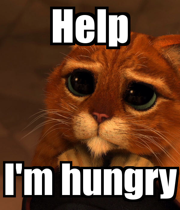 10种不同说“I’m hungry”的英文表达。肚子饿的咕咕叫怎么说？ - 知乎