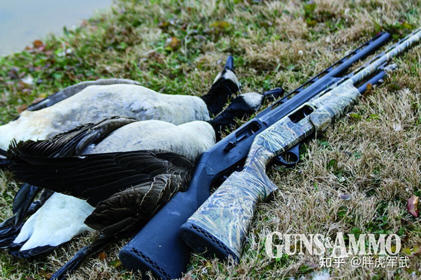 Stoeger P3500 12口径霰弹 - 知乎