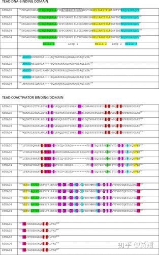 【JMC】TEAD靶点综述 - 知乎