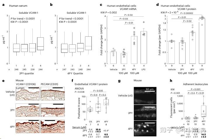 Nature Medicine：烟酸的最终代谢物促进血管炎症并增加心血管疾病风险 - 知乎