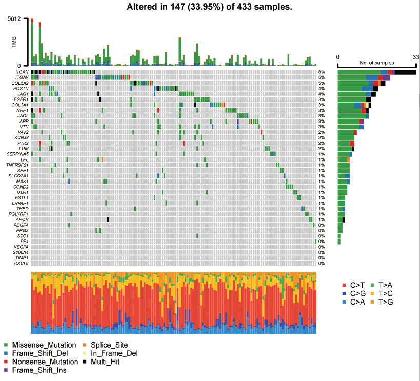 如何发现TCGA LGG和GBM数据库中每位患者IDH突变？ - 知乎