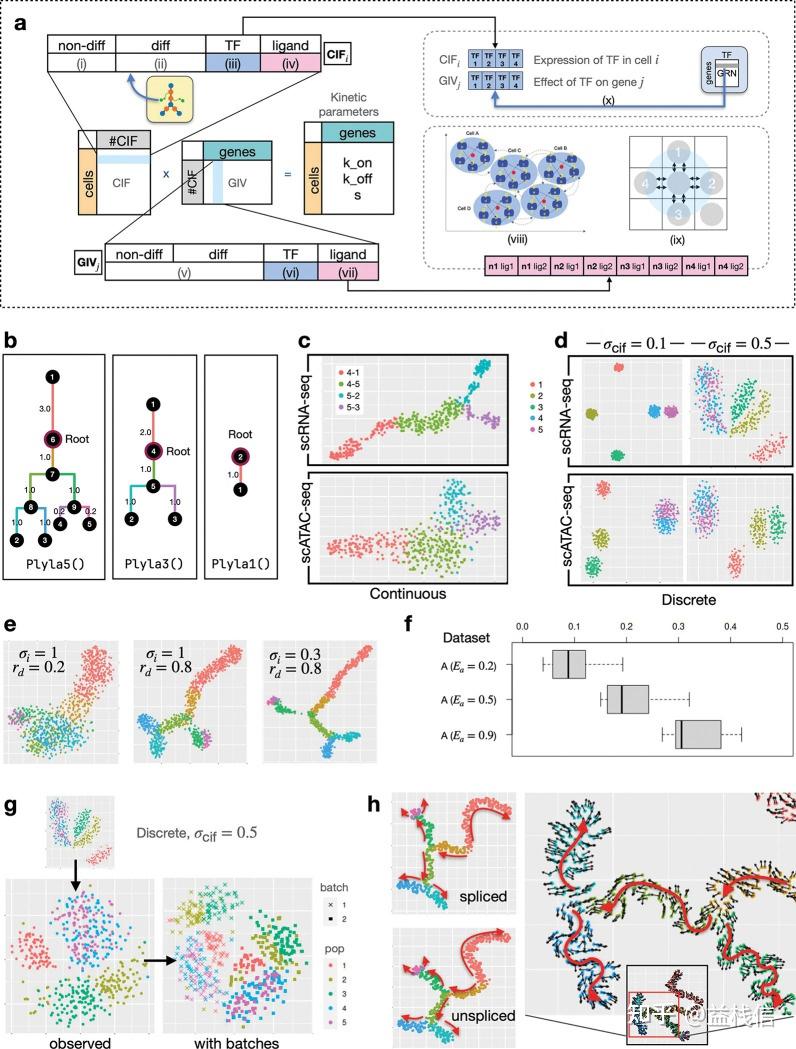 (上篇）scMultiSim：多模态单细胞数据模拟器，让基因调控与细胞互作模拟触手可及 - 知乎