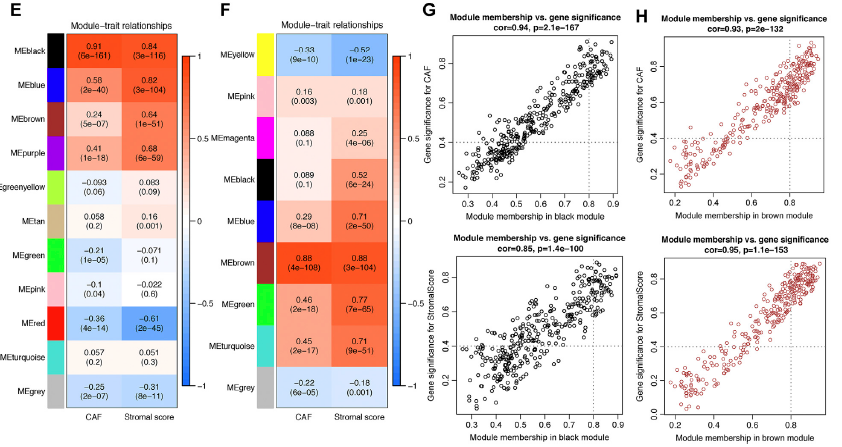最新思路——巧用WGCNA分析GEO和TCGA数据，文章轻松上5分 - 知乎