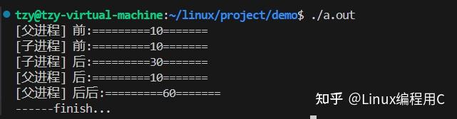 了解一下Linux系统提供的写时复制机制--COW! - 知乎