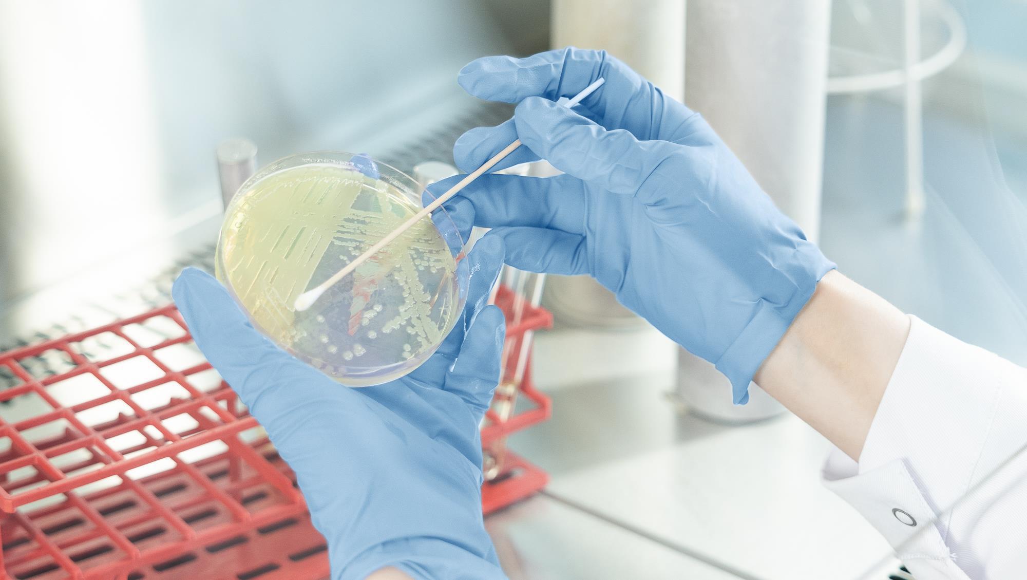 抗生素Zevtera获FDA批准，用于治疗多种难治性感染 - 知乎