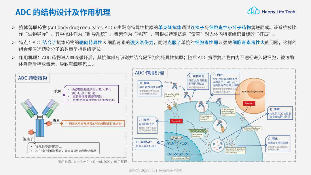 ADC行业系列报告（一）烈火烹油：ADC赛道的繁荣发展 - 知乎