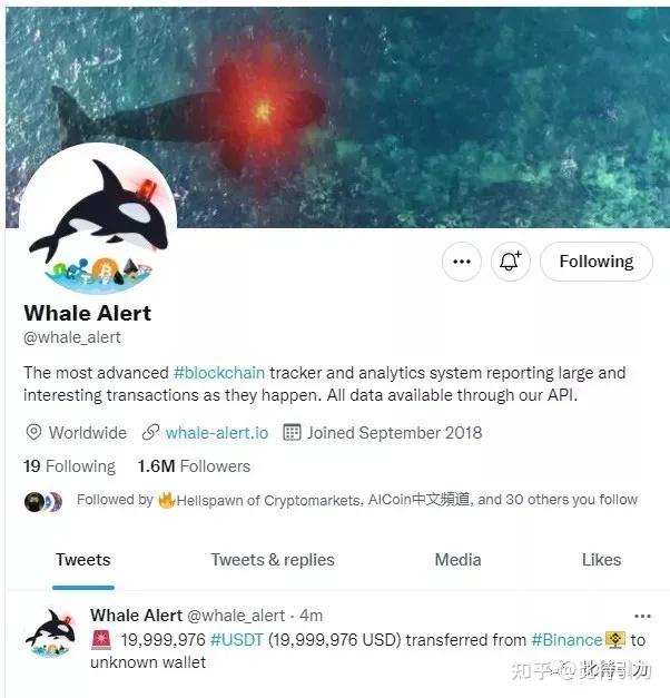 工具推荐 | 巨鲸是行情的风向标，我们如何追踪他？ - 知乎
