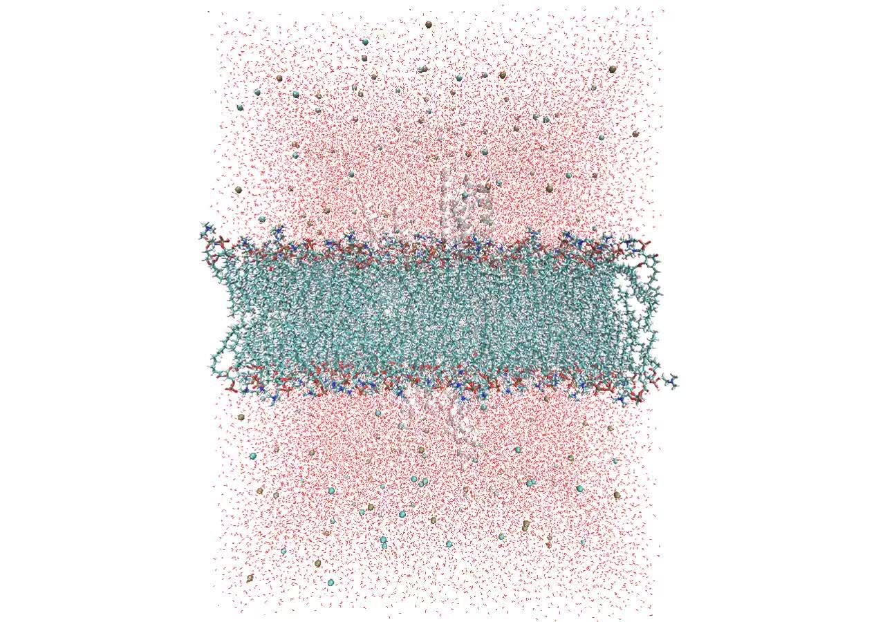 【GROMACS进阶】膜蛋白体系MD模拟教程 - 知乎