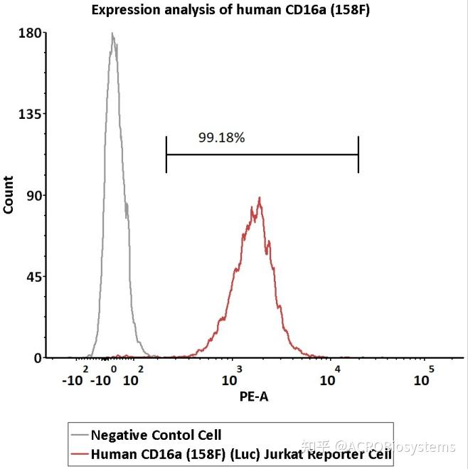 ADCC / ADCP细胞株——Fc工程化改造细胞水平验证工具 - 知乎