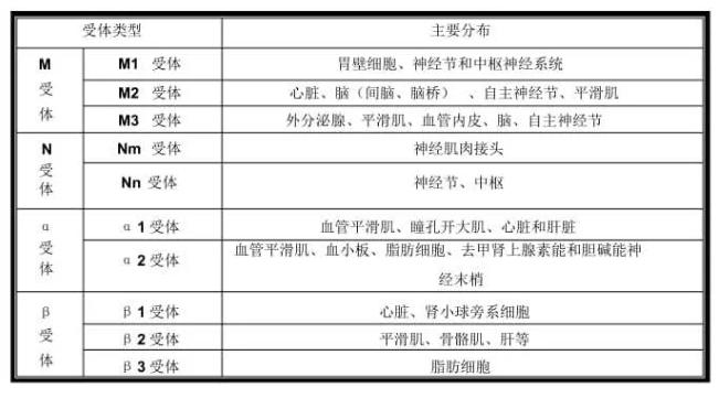 M、N、α、β受体解读 - 知乎