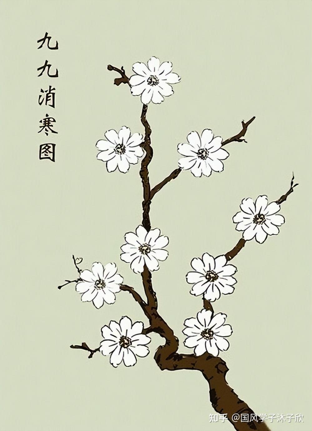 冬至除了吃饺子，还能怎么玩？不如一起来数九！ 知乎