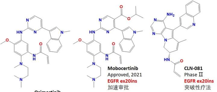 已验证优势骨架, or 新骨架? EGFR 20ins as an example - 知乎
