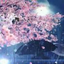 vue3 pixi pixi-live2d-display模型的展示 - 知乎