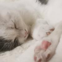 OpenGL（十八）：Depth Testing - 知乎