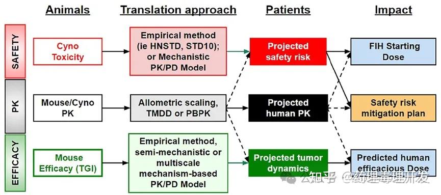 支持ADC药物开发的PK/PD转化框架 - 知乎