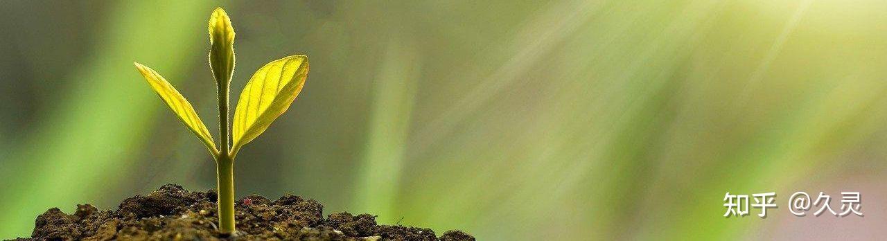 CordCloud怎么样？分享一个Cordcloud最新的靠谱使用教程 方法【2024年更新还能用】 - 知乎