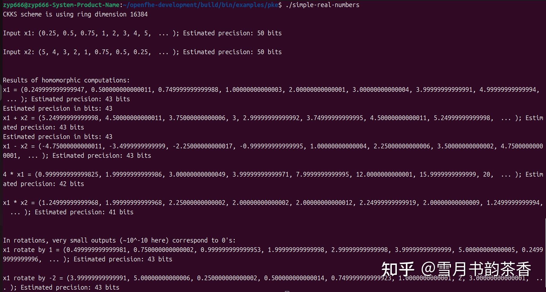 OPENFHE库学习第三天：simple-real-numbers代码讲解 - 知乎