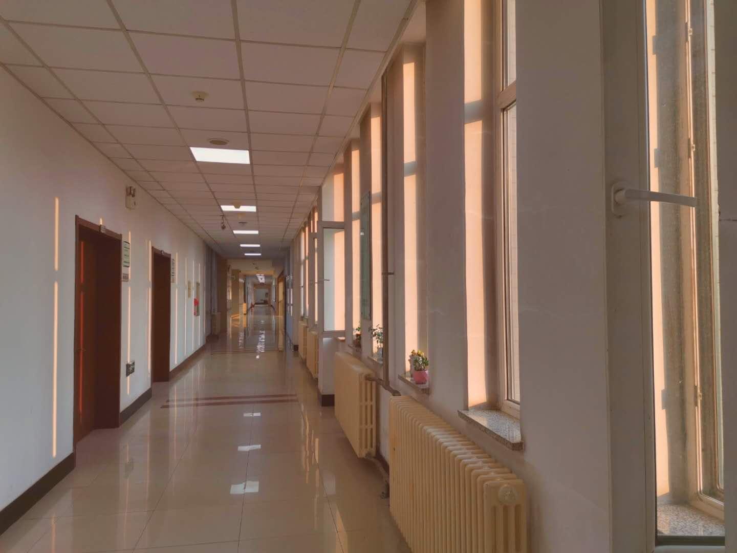 .detach().cpu().numpy()的作用 - 知乎