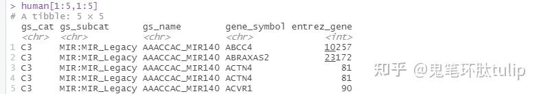 单细胞GSVA迭代为什么会这么久（摊手 - 知乎